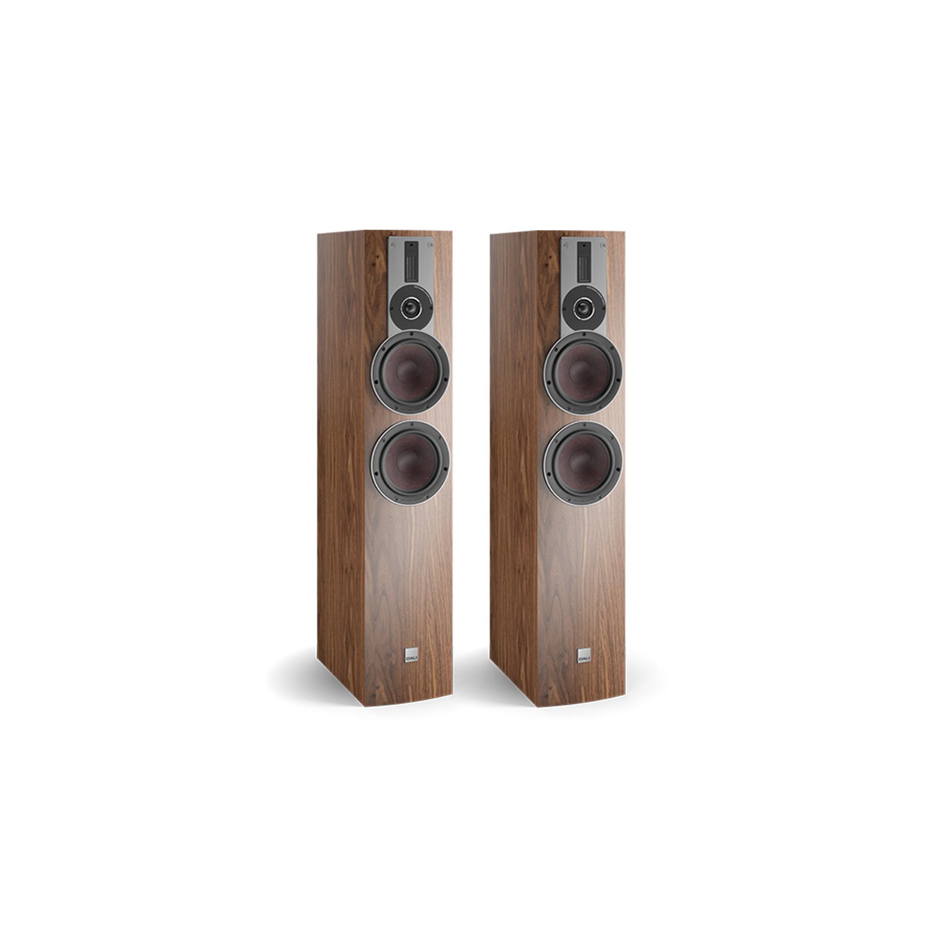 Richer Sounds Ireland - DALI Rubicon 6 Natural Walnut